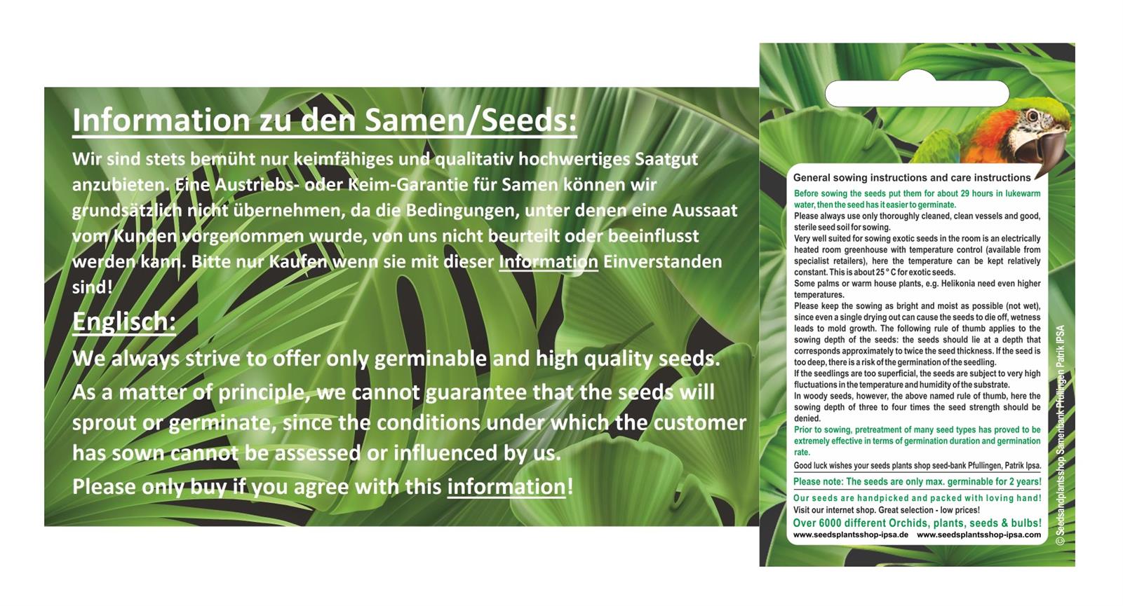 10x Prosopanche americana Garten Pflanzen - Samen ID1029