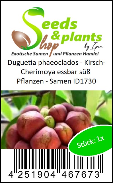 1x Duguetia phaeoclados - Kirsch-Cherimoya essbar süß Pflanzen - Samen ...