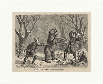 Nicolai von Nolde auf Bärenjagd Dolch erstechen Holzstich Jagdzeitung 0330